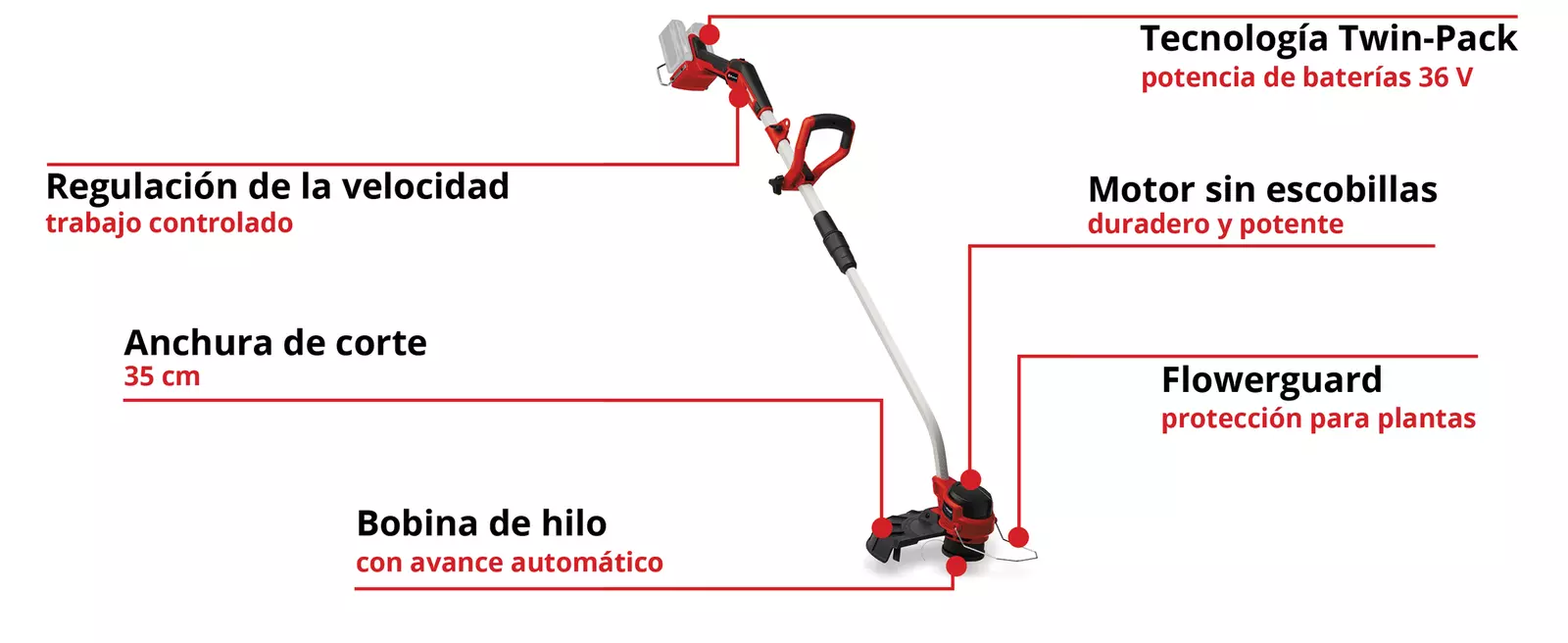 GP-CT 36/35 Li BL-Solo | Podadora a batería